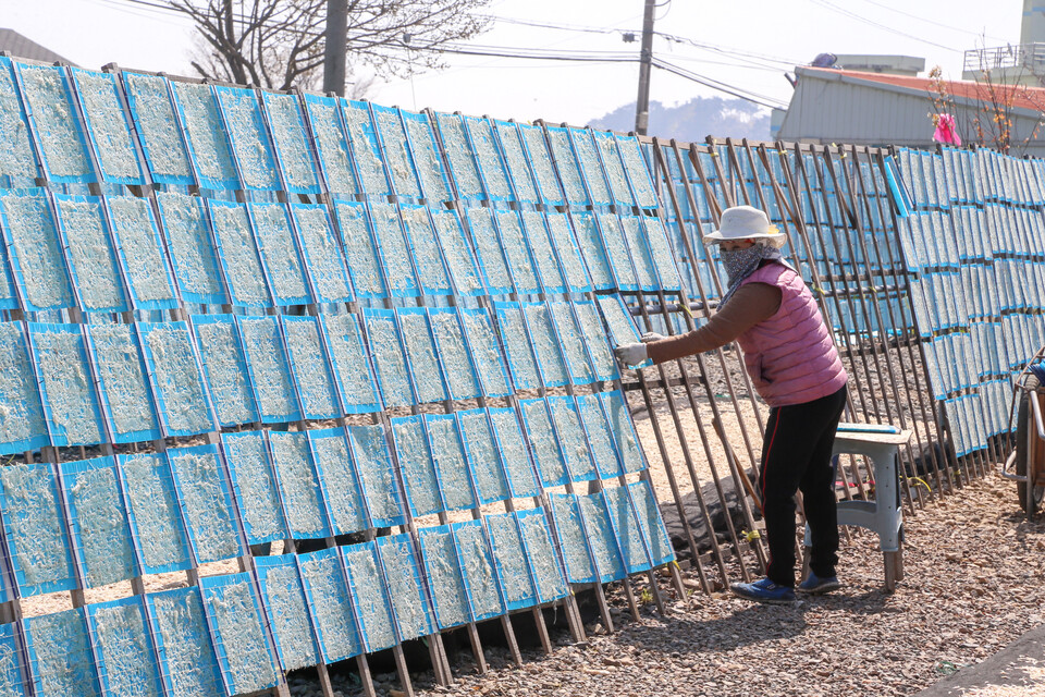 [당진24시] 당진시, 60개 업체 1500여명 참여 ‘일자리 박람회’ 성료