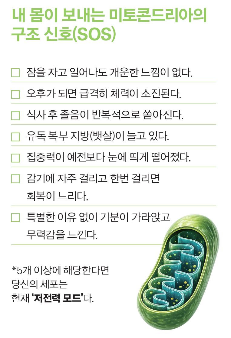 자도 자도 피곤한 건 ‘세포 발전소’ 고장 탓